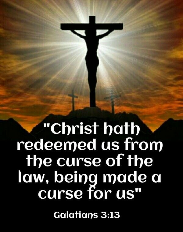 The Curse of Sin - Dan Shock